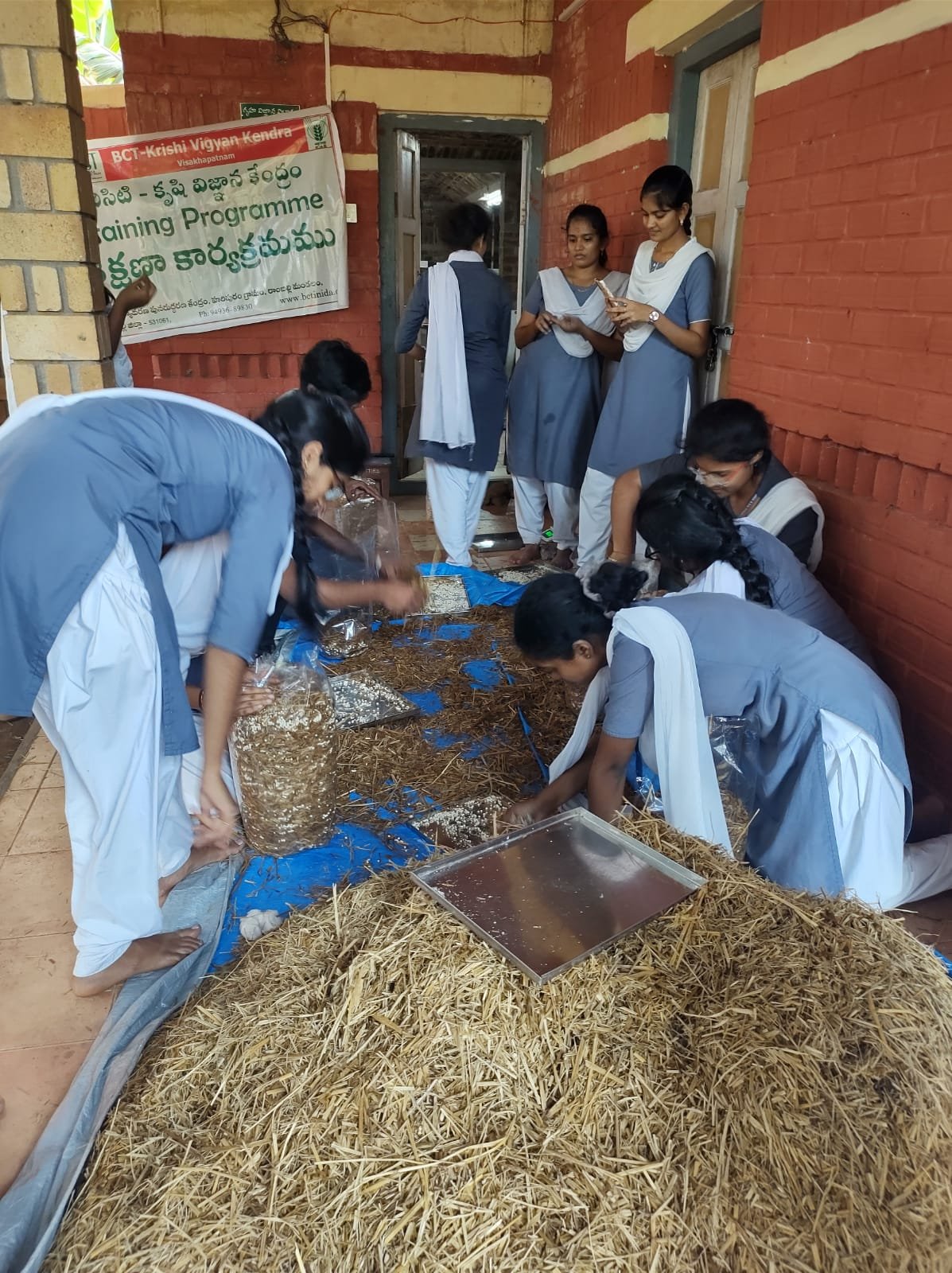 MUSHROOM CULTIVATION AT BOTANY LAB – MVR DEGREE & PG COLLEGES
